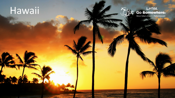 Zoom Away to "Virtually" Anywhere in the World | San Jose International